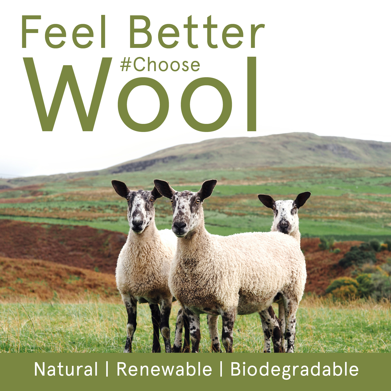 Wool Week 2021 – One Month to Go… - Campaign For Wool