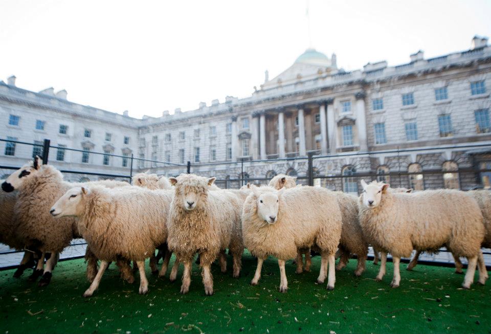WOOL HOUSE: THE BEST BITS - Campaign For Wool